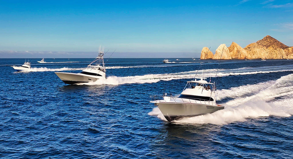 Pelagic Triple Crown of Fishing Rings in the Next Decade with Big Fish ...